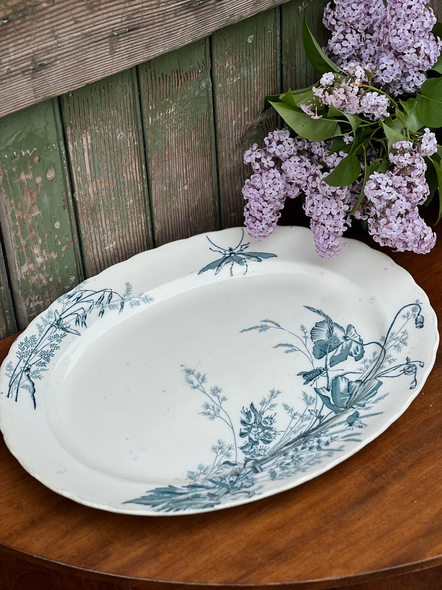 F Winkle & Co Poppy Ashet – Mrs Robinson